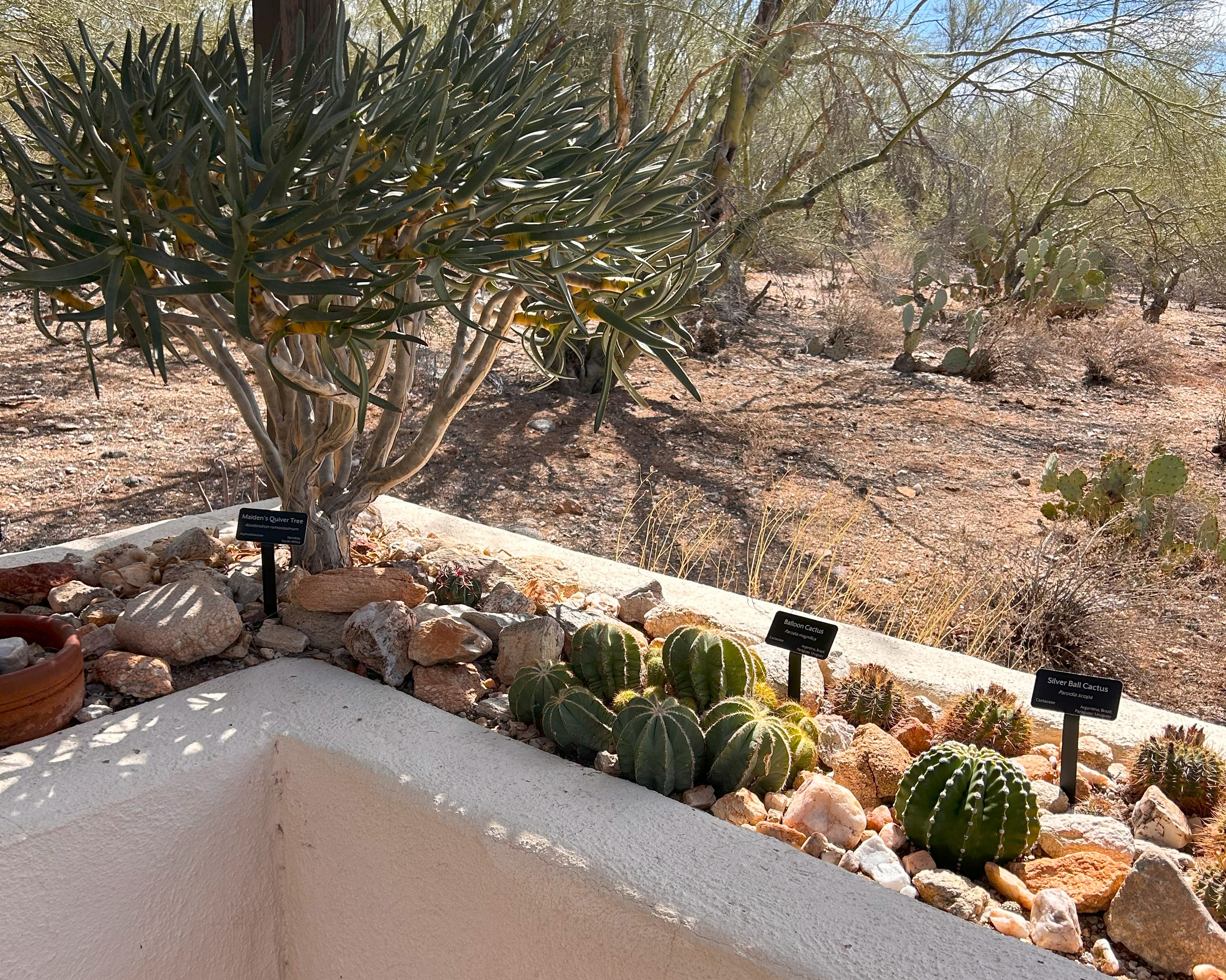 Maxine Cruz – pics