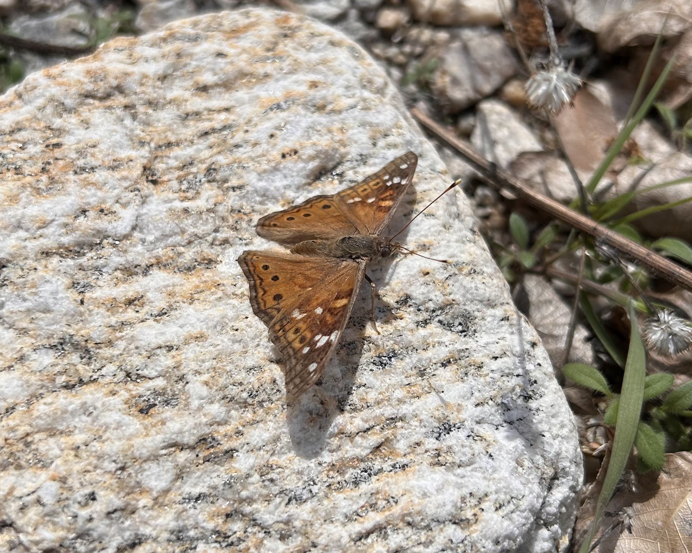 Maxine Cruz – pics